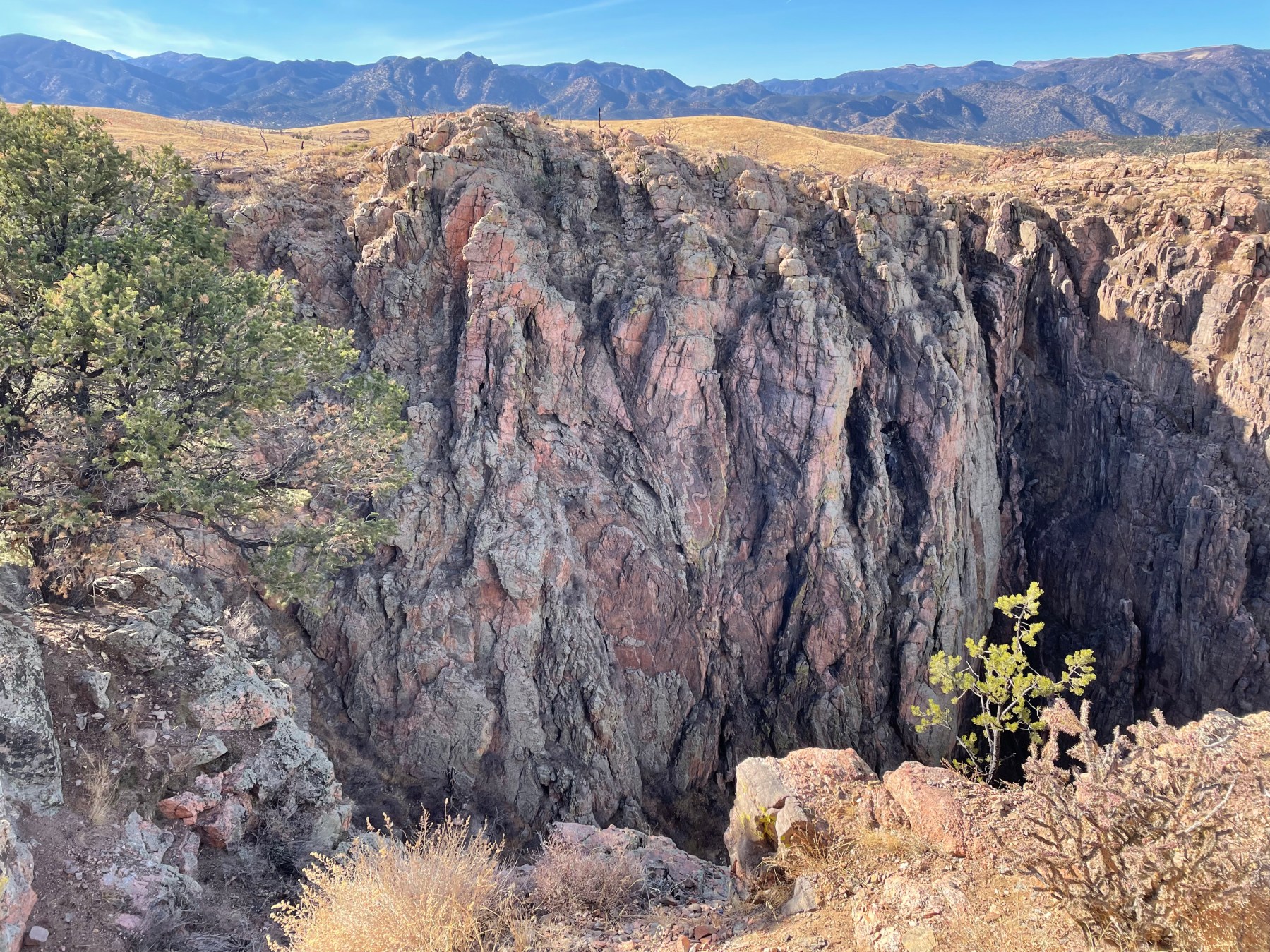 Karen Land | String of Dogs | Page 2