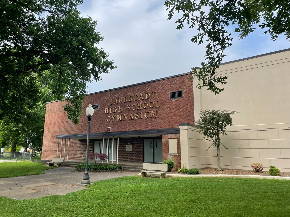 String of Dogs | Life… and the dogs along the way…