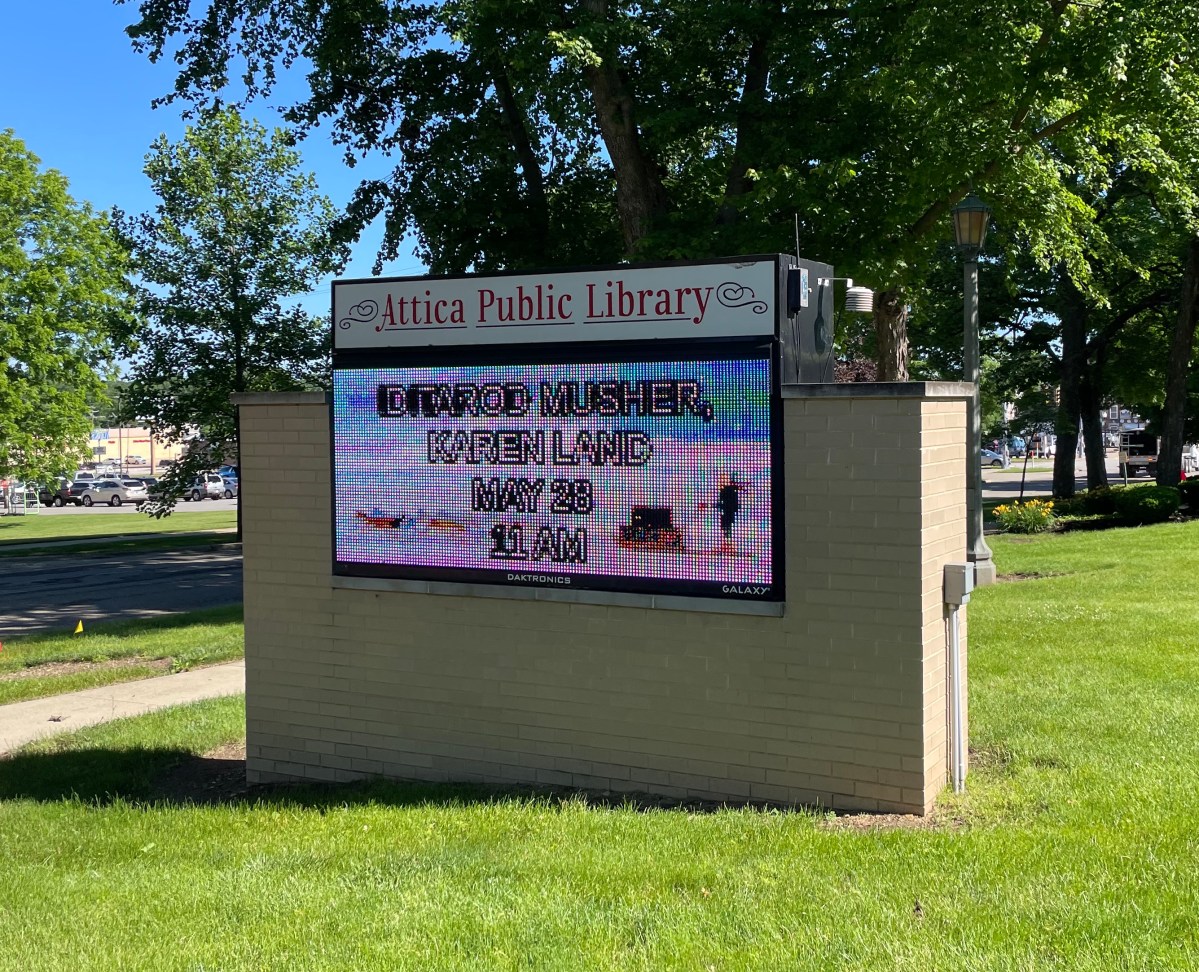 String of Dogs | Life… and the dogs along the way…